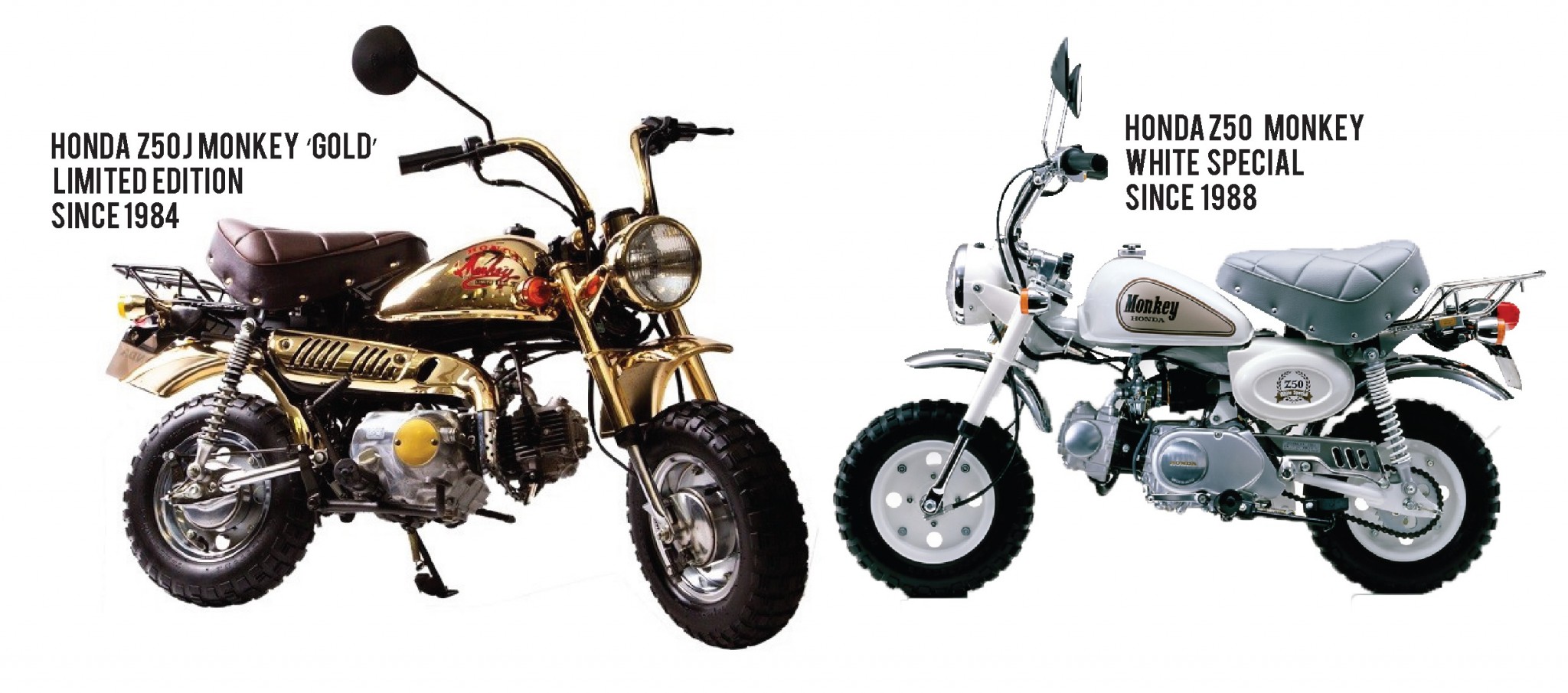 HONDA MONKEY All STAR* รวมดาราสุดเอ็กซ์คลูซีฟเจ้าลิงจ๋อ! | Webike Thailand